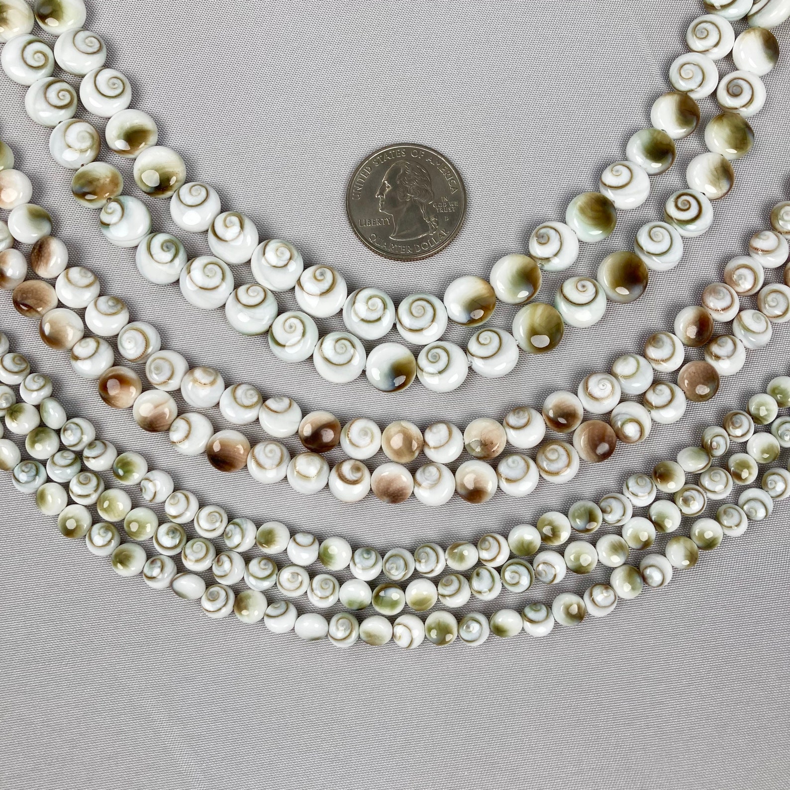 Single Shiva Shell Round Bead Shiva Shell Bead 16 Beaded Strand Shiva ...