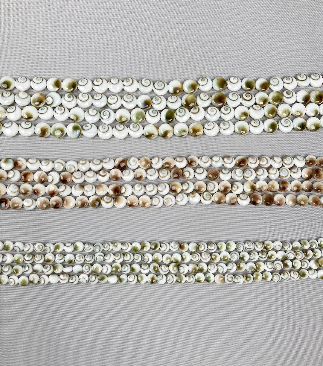 Single Shiva Shell Round Bead – Shiva Shell Bead - 16" Beaded Strand ...