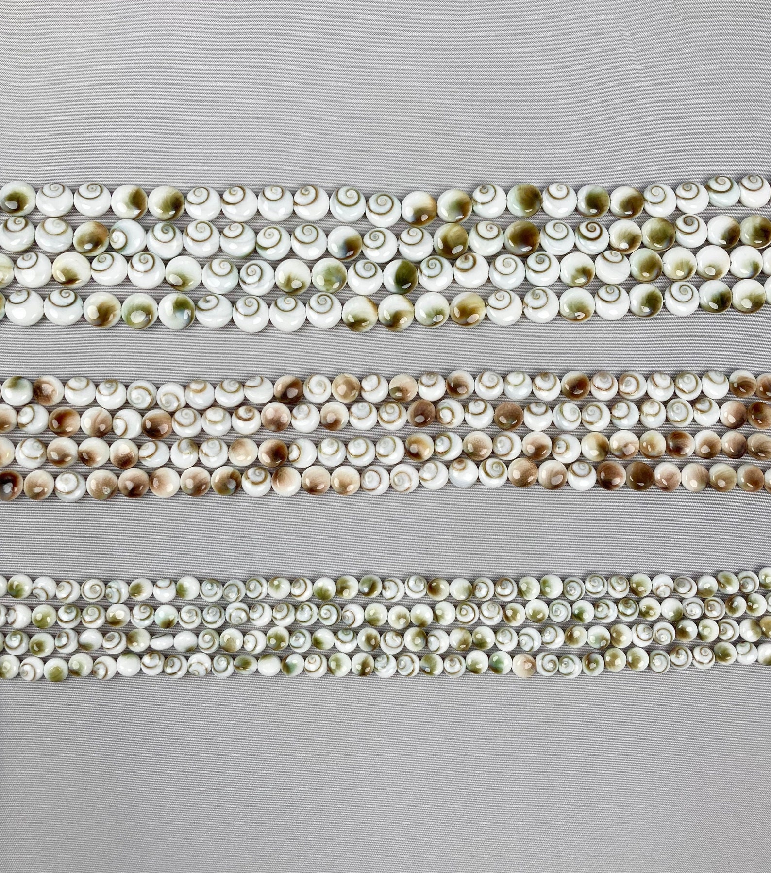 Single Shiva Shell Round Bead Shiva Shell Bead 16 Beaded Strand Shiva ...