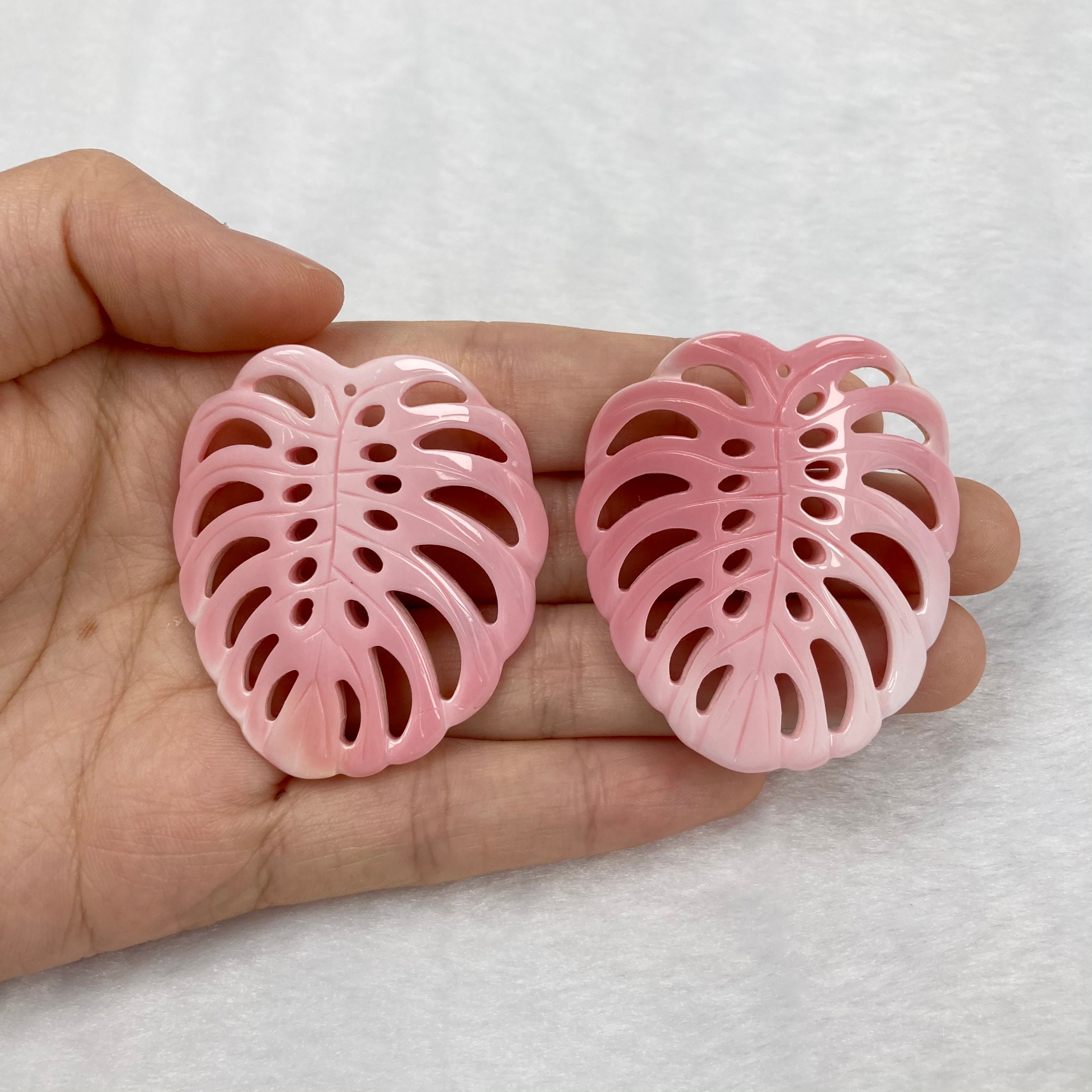 10pc Queen Conch Shell Monstera Deliciosa Variegated Pink Leaf - Queen ...