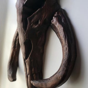 Mythosaur Skull Wall Art: Solid Hardwood Star Wars Decor - Etsy