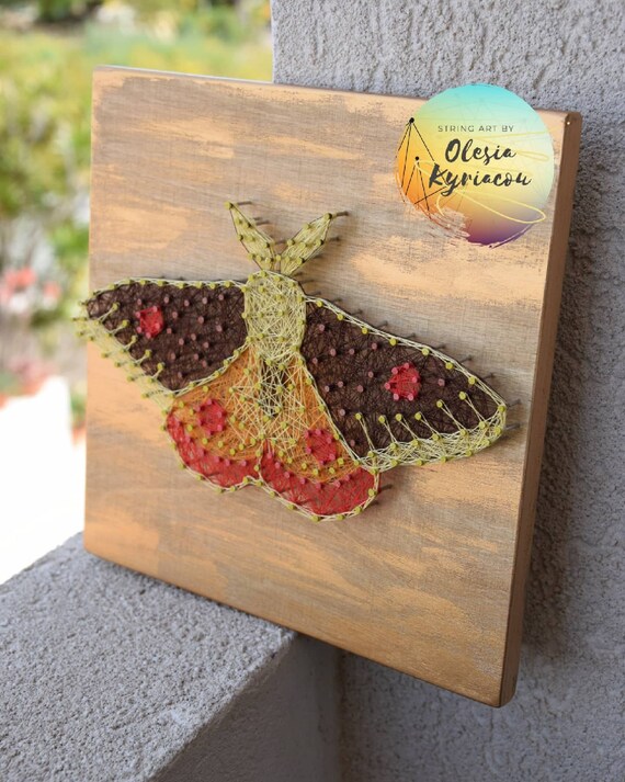 String Art Moth Moth Art Insect Decor Moth Decoration Bugs | Etsy
