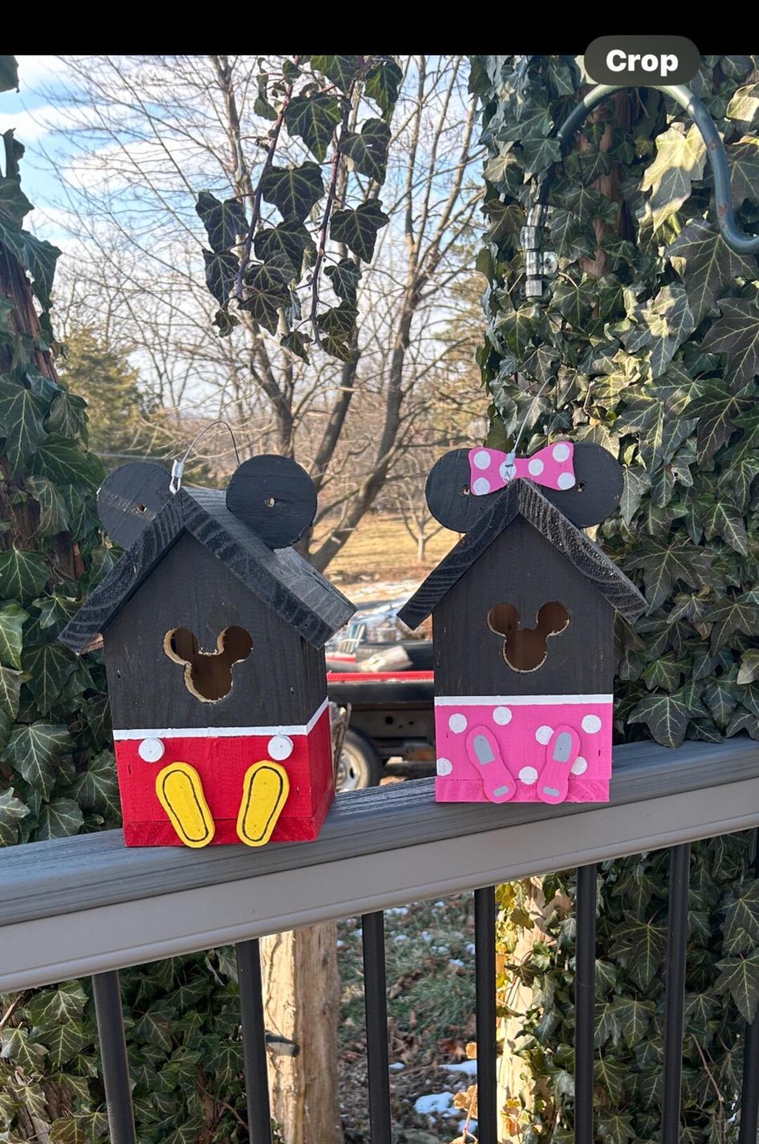 Mickey and Minnie Mouse Bird Houses - Etsy