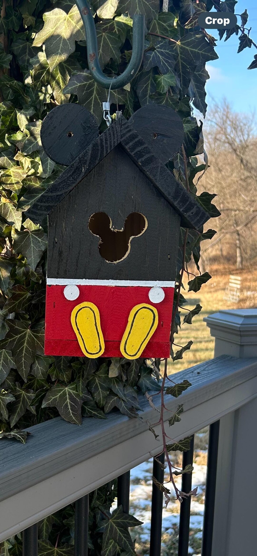 Mickey Mouse Bird House - Etsy