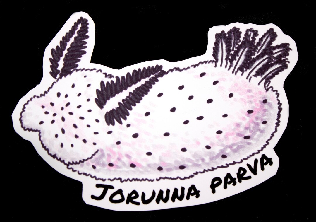 Sea Bunny Sticker - Etsy