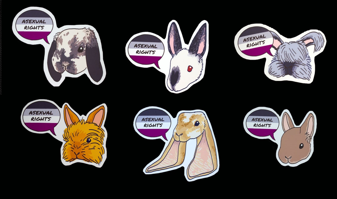 Asexual Rights Stickers - Etsy