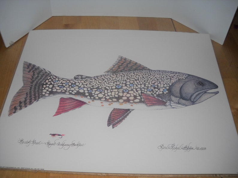 Brook Trout Print Teri Renee Blehm Fish Color Horizontal Litho - Etsy