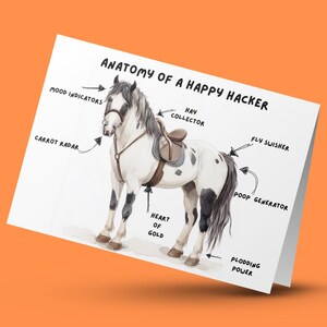 Anatomy of a Happy Hacker | Horse Card | Horse Lover Gift | Funny Horse ...