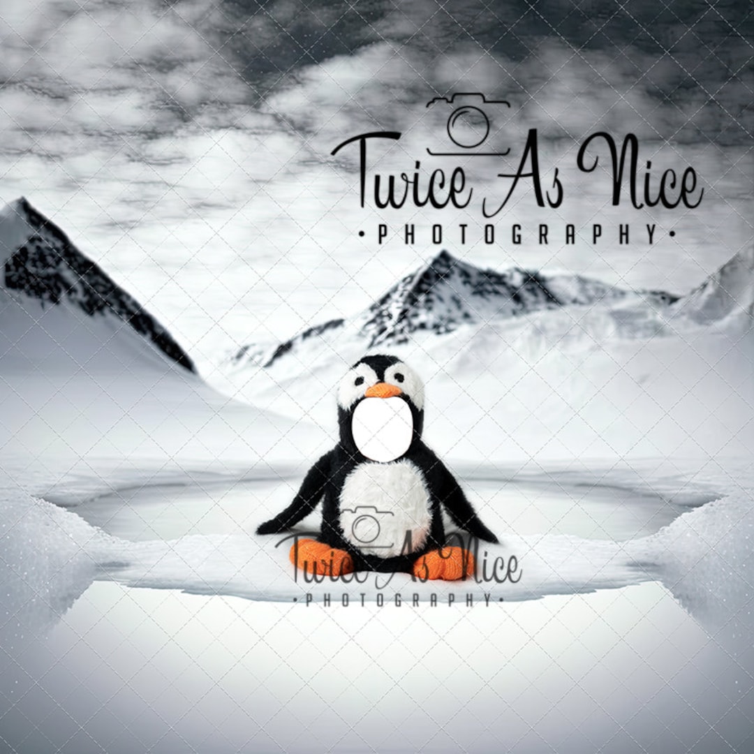 Penguin Face Insert Newborn Digital Backdrop, Digital Background ...