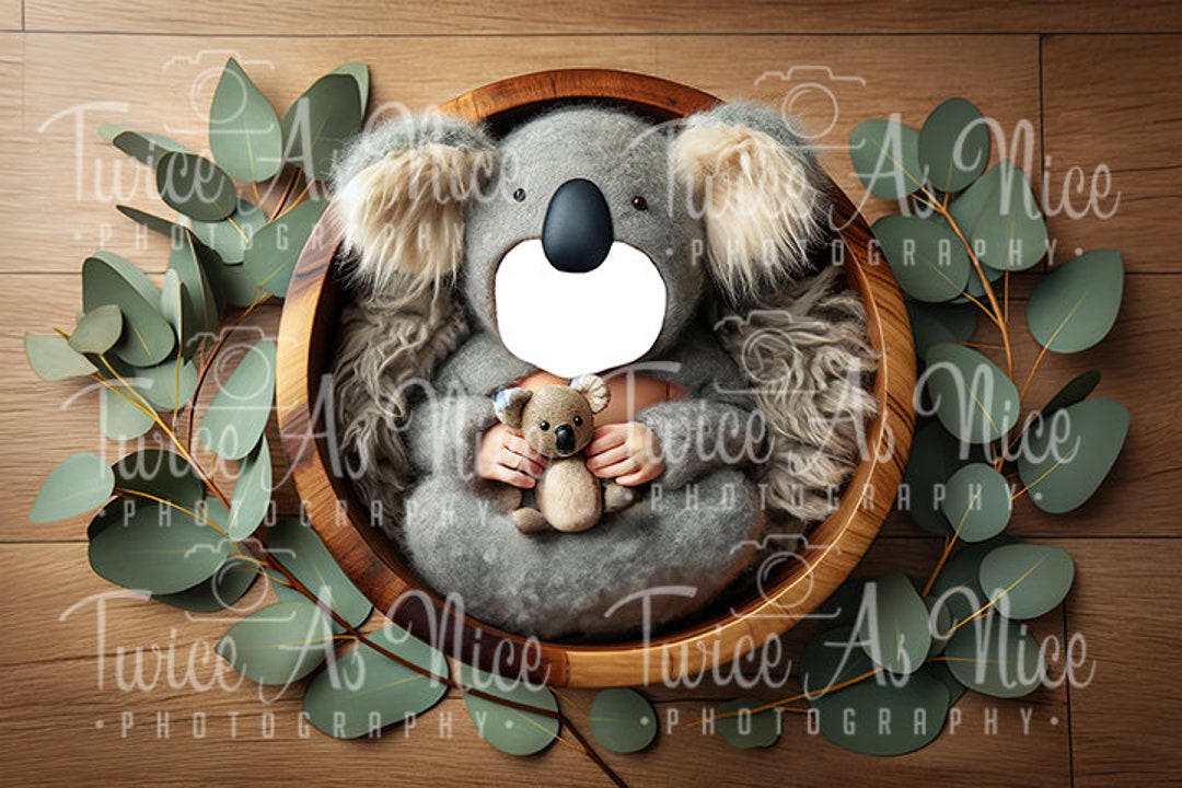 Koala Newborn Digital Backdrop Koala Bear Newborn Digital - Etsy
