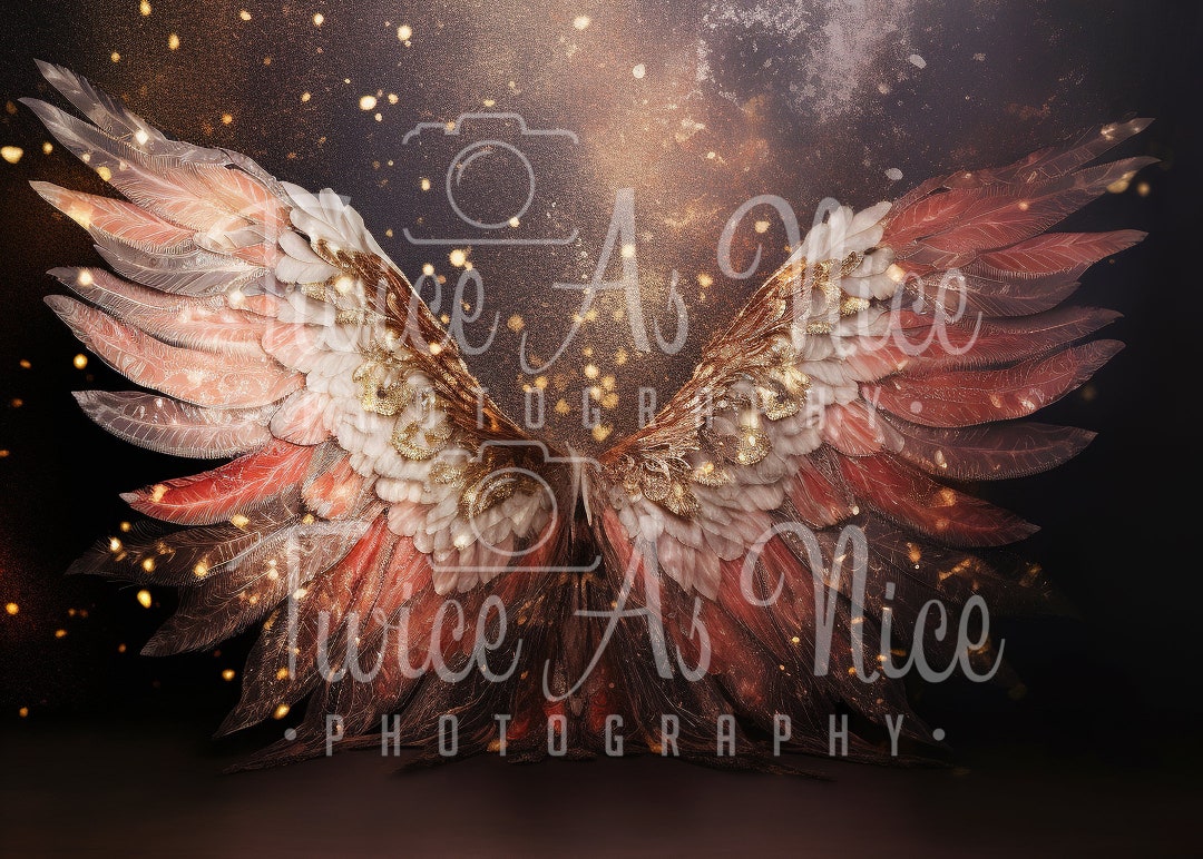 Angel Wings Newborn Digital Backdrop, Angel Newborn Digital Background ...