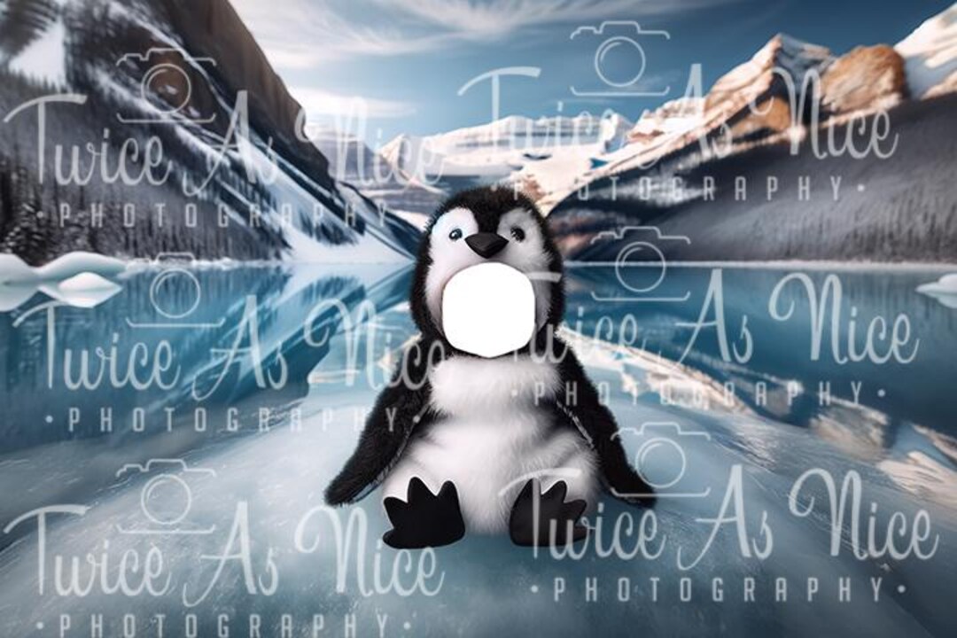 Penguin Face Insert Newborn Digital Backdrop, Digital Background ...