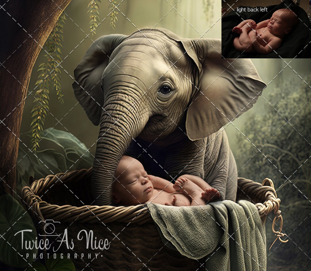 Elephant Newborn Digital Backdrop, Wildlife Digital Background, Digital ...