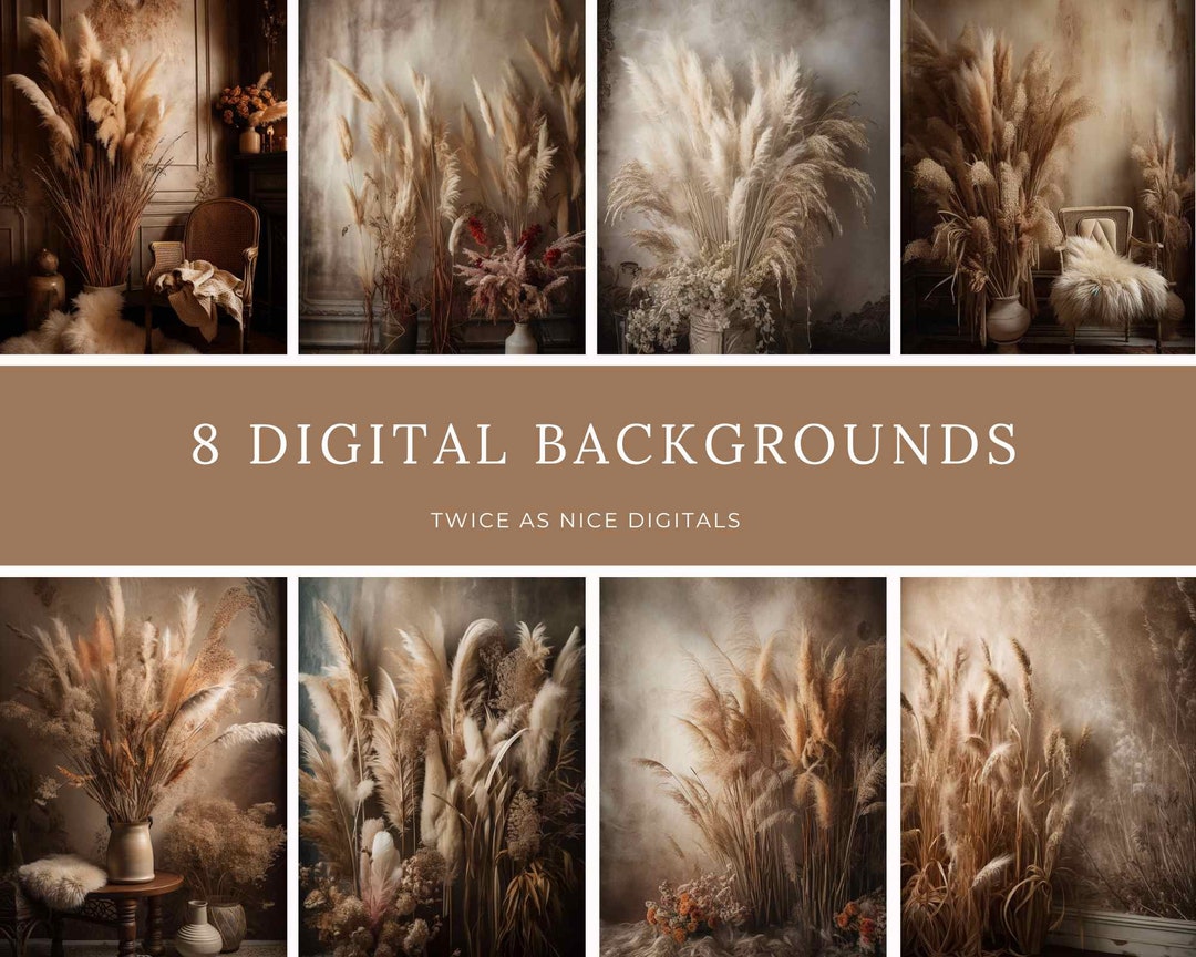 8 Maternity Digital Backdrop Boho Pampas Grass Fine Art Maternity ...