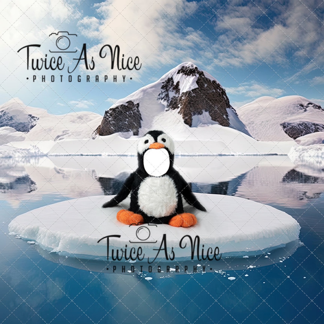 Cute Penguin Face Insert Newborn Digital Backdrop Digital Background ...