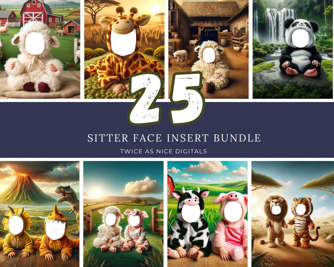 25 Sitter Face Insert Newborn Digital Backdrop Bundle: Themes Including ...