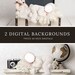 Newborn Digital Backdrop Face Insert Bundle, Floral Photography Prop ...
