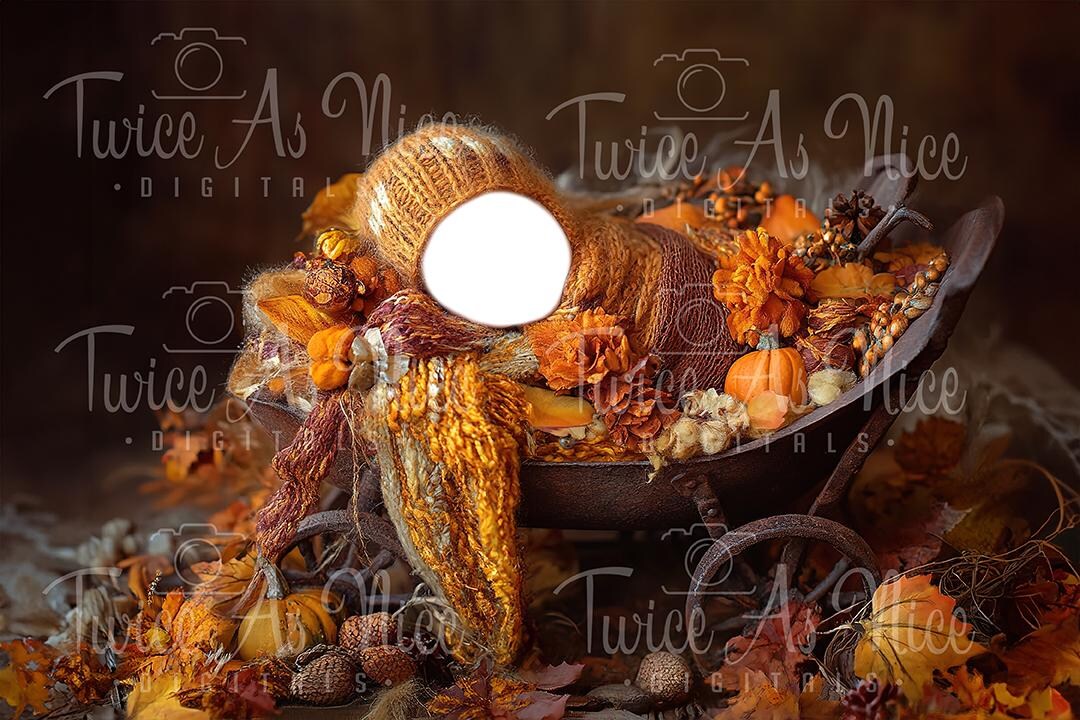 Newborn Digital Backdrop, Bat Background, Fall Digital Backdrop ...