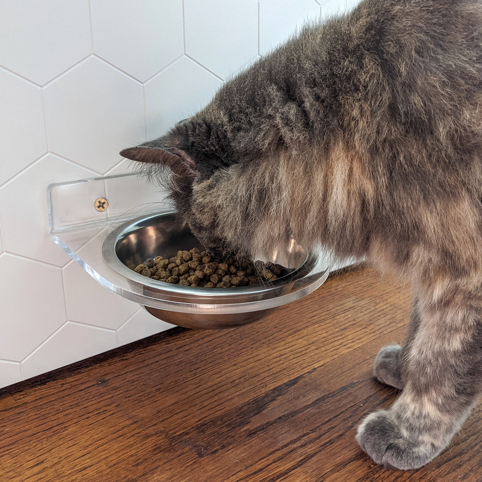 Black Cat Silhouette Wall Mounted Acrylic Food Bowl - Etsy