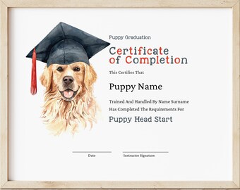 Dog Graduation Certificate - Etsy