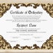 Editable Ordination Certificate Template Printable - Etsy