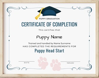 Certificate of Completion Template - Etsy