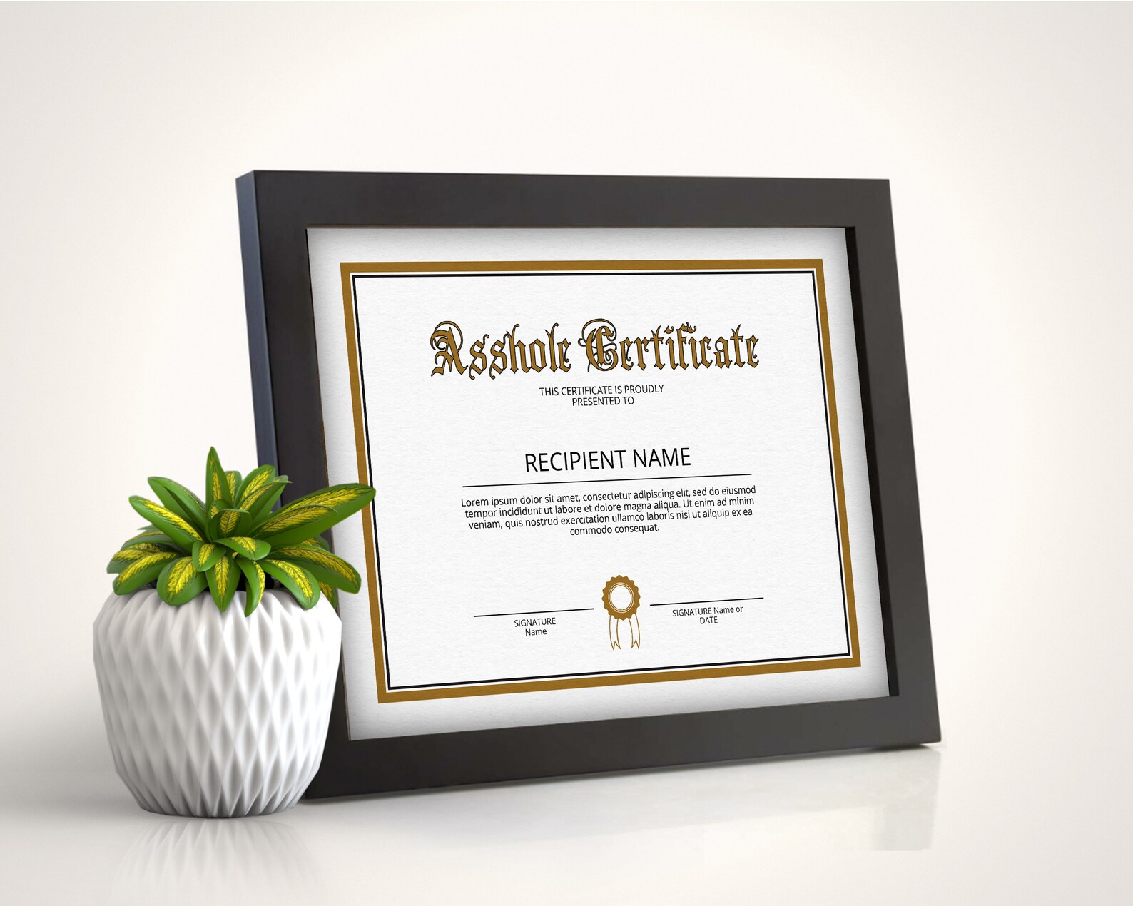 Editable Asshole Certificate Template Printable Certificate Etsy