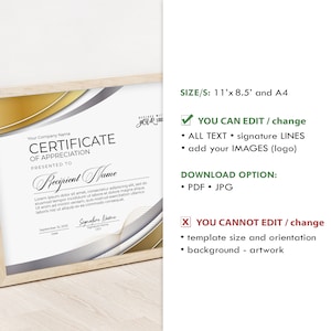 Gold Silver Bronze Certificate of Appreciation, Editable Printable ...