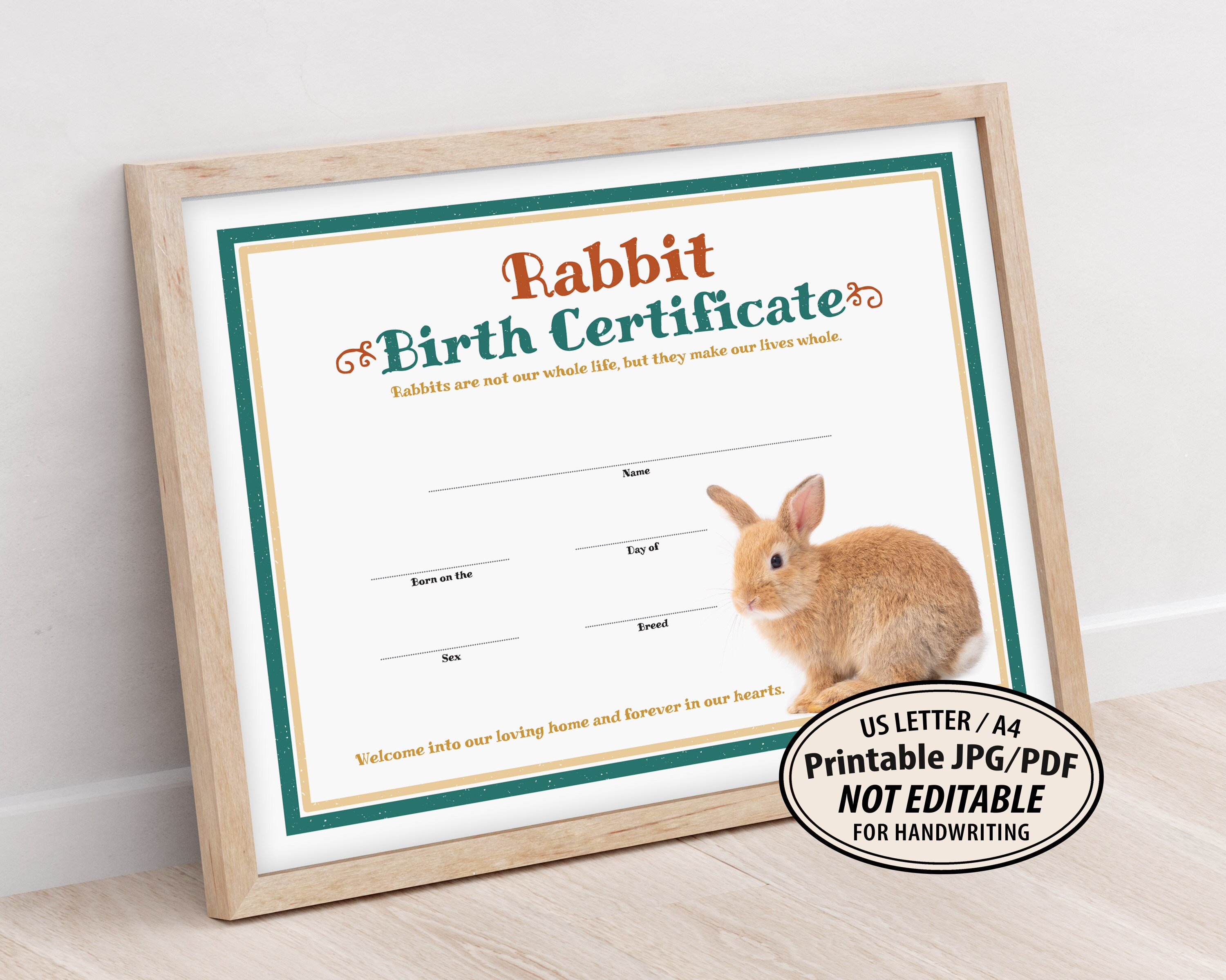 Rabbit Birth Certificate Template