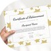 Editable Certificate of Achievement Award Certificate Template ...