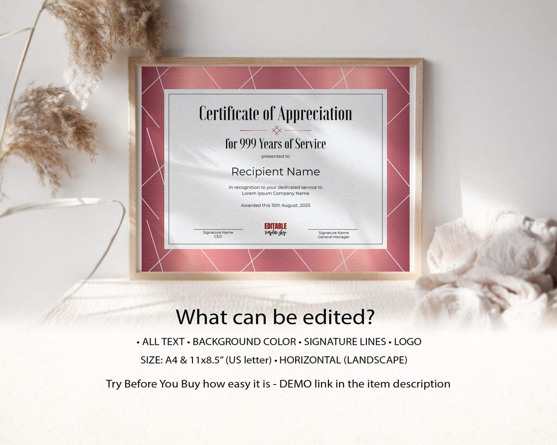 25 Years of Service EDITABLE Certificate of Appreciation | Etsy