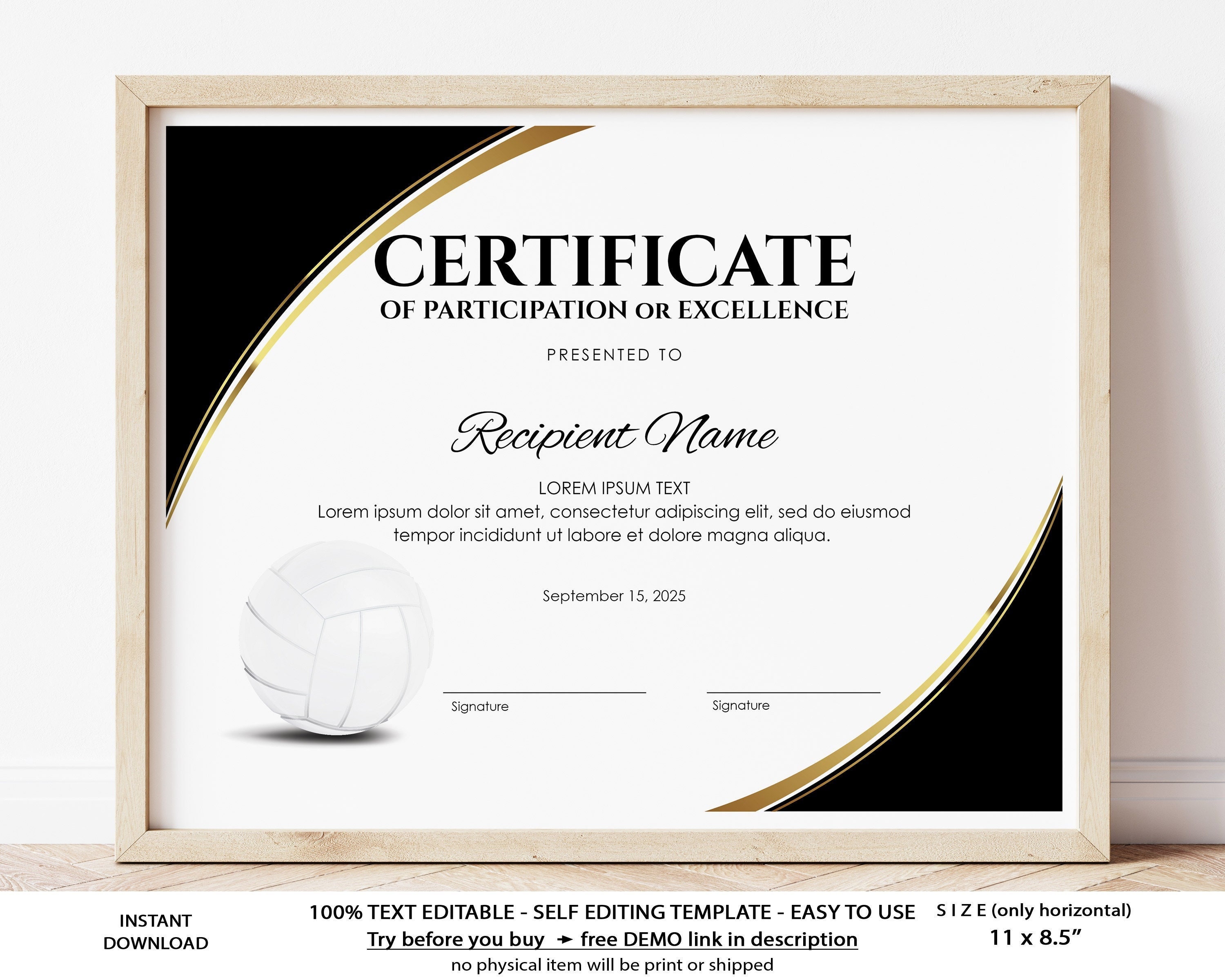 Paper Party Supplies Volleyball Certificates Instant Download Sports 