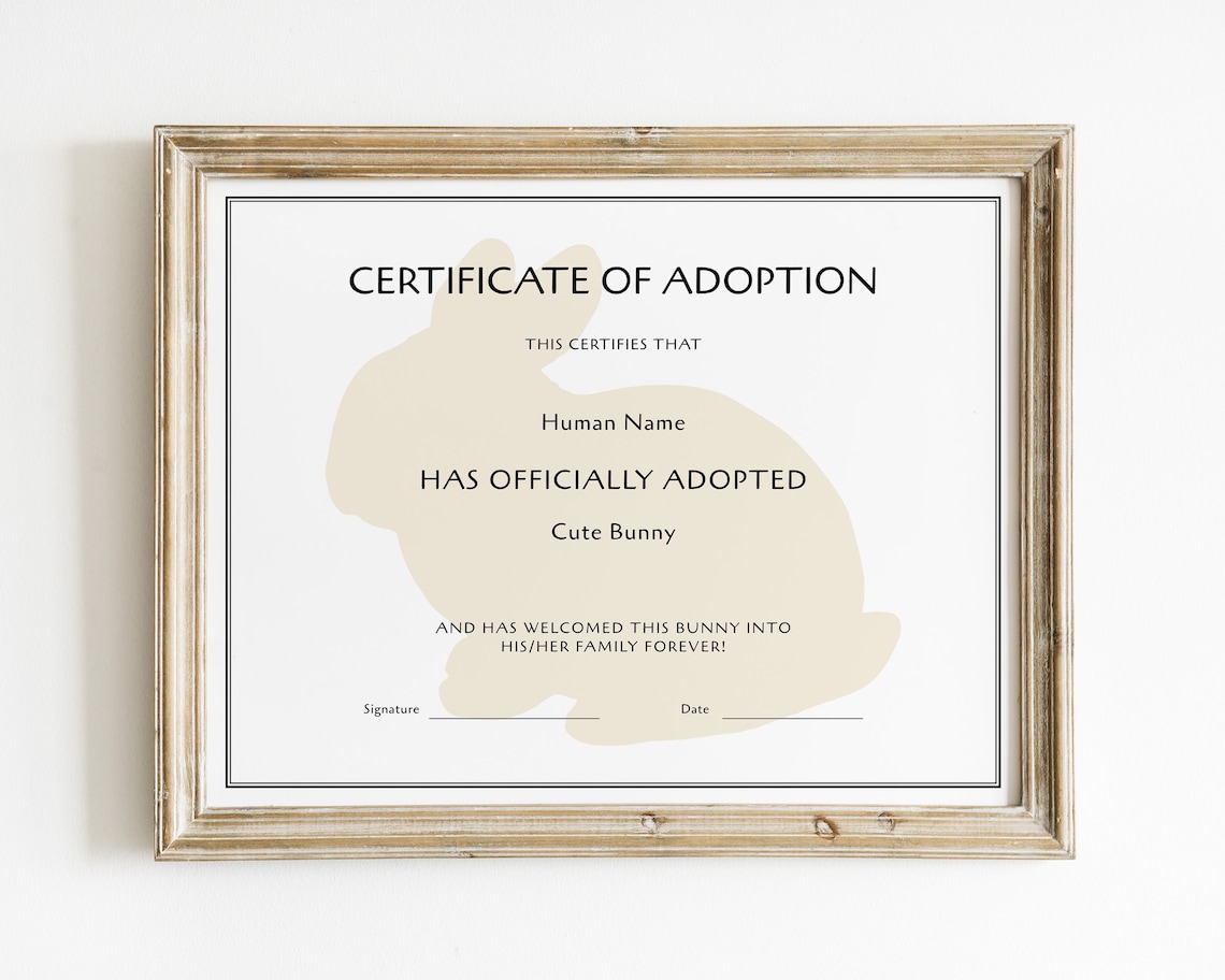 EDITABLE Bunny Adoption Certificate Template Rabbit - Etsy