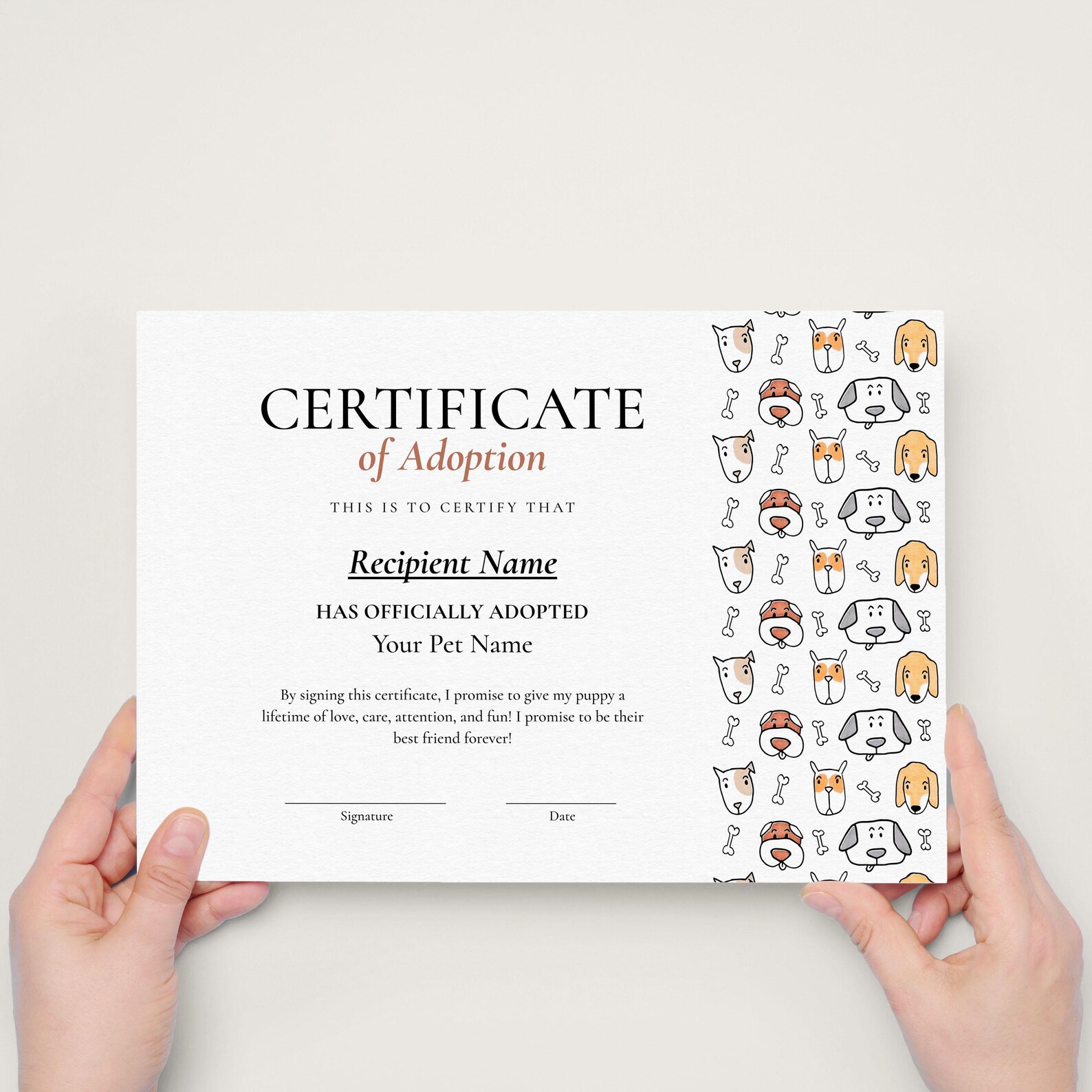 EDITABLE Puppy Adoption Certificate Template, Dog Owner's Certificate ...