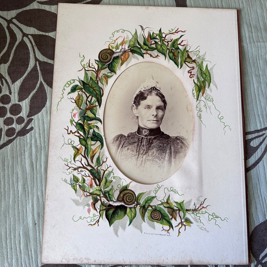 Antique Victorian Photo Album Page With Foliage & Snail Garland ...
