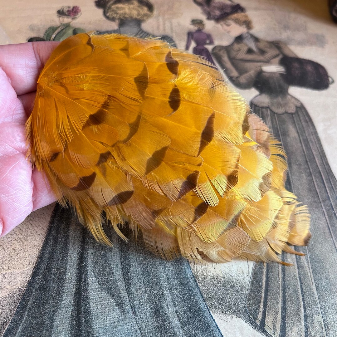 Vintage Vibrant Golden Millinery Feather Pad Hat Adornment - Etsy