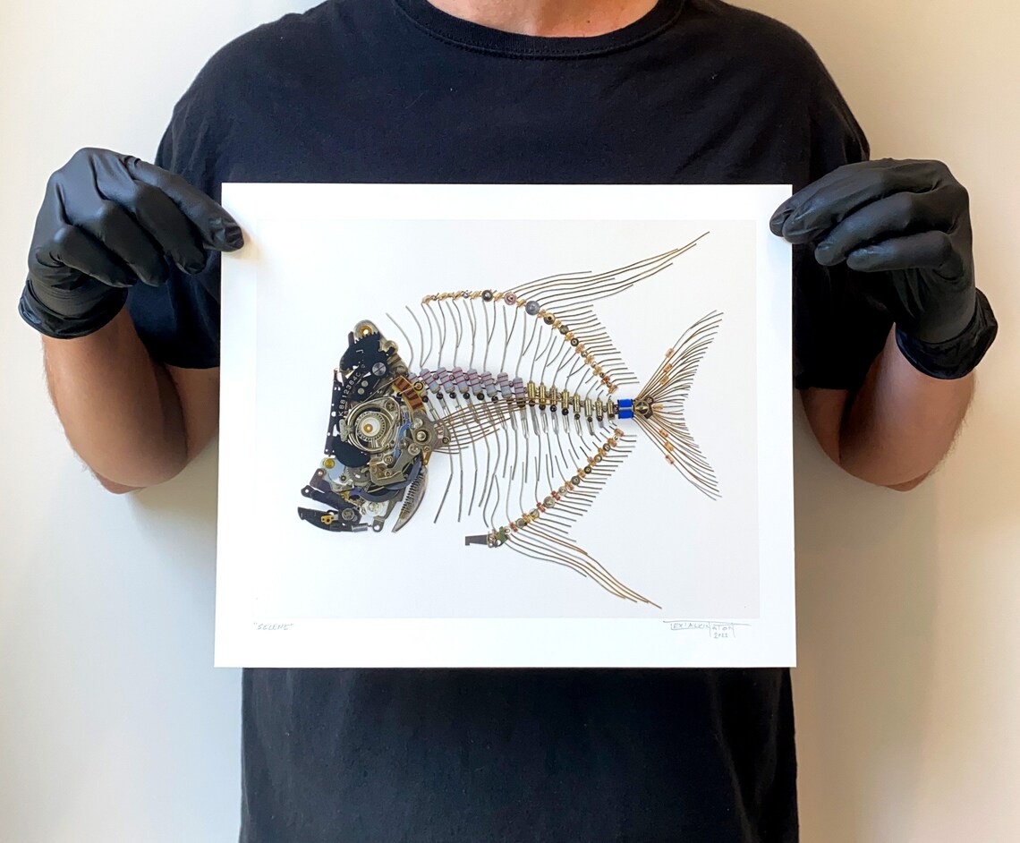Lookdown Fish Signed Fine Art Print Gilclee 12 X 10 Inch - Etsy
