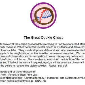 Girl Scout Junior Detective Kit - Etsy