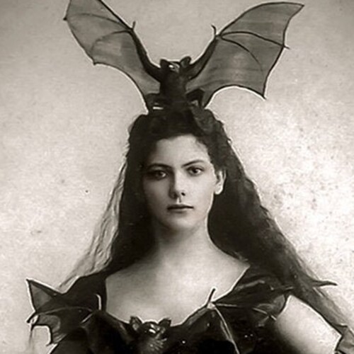 The Vampire Queen Victorian Costume Batgirl Bat Costume - Etsy
