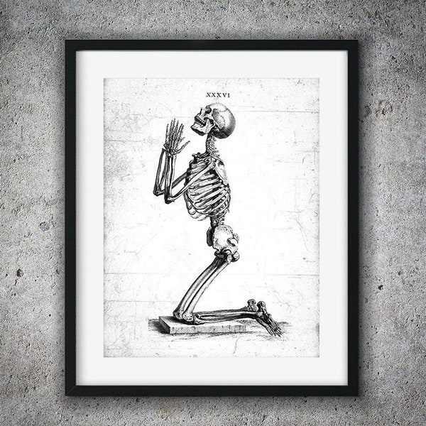 Skeleton Poster - Etsy