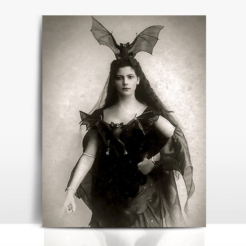 The Vampire Queen Victorian Costume Batgirl Bat Costume - Etsy