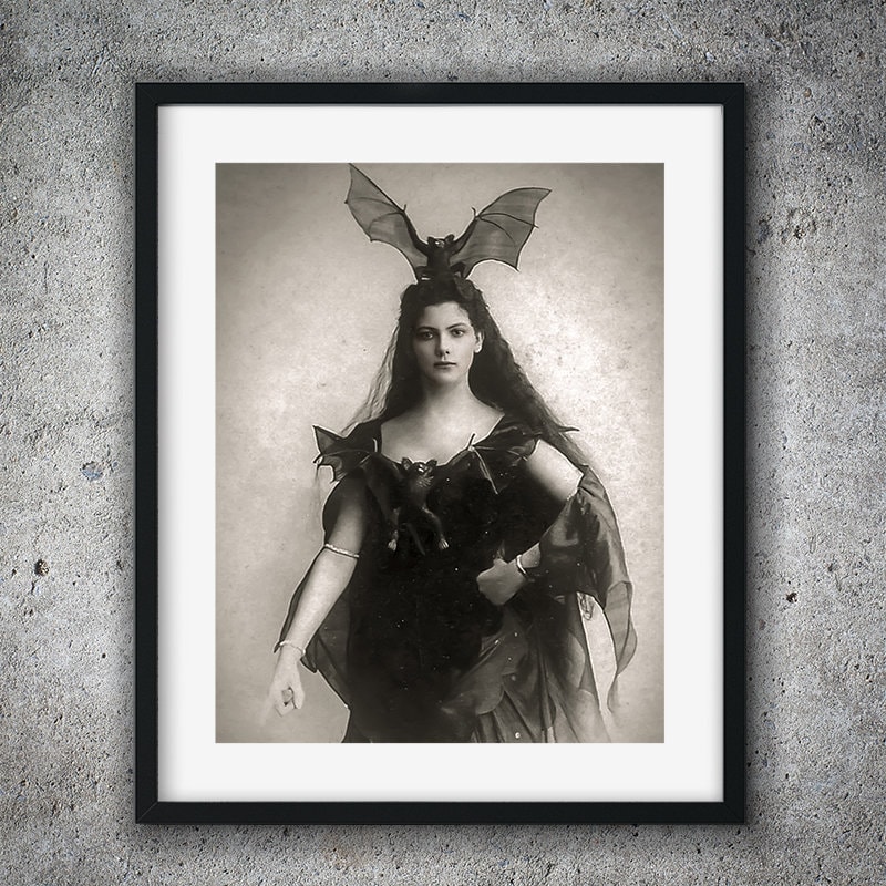 The Vampire Queen Victorian Costume Batgirl Bat Costume - Etsy