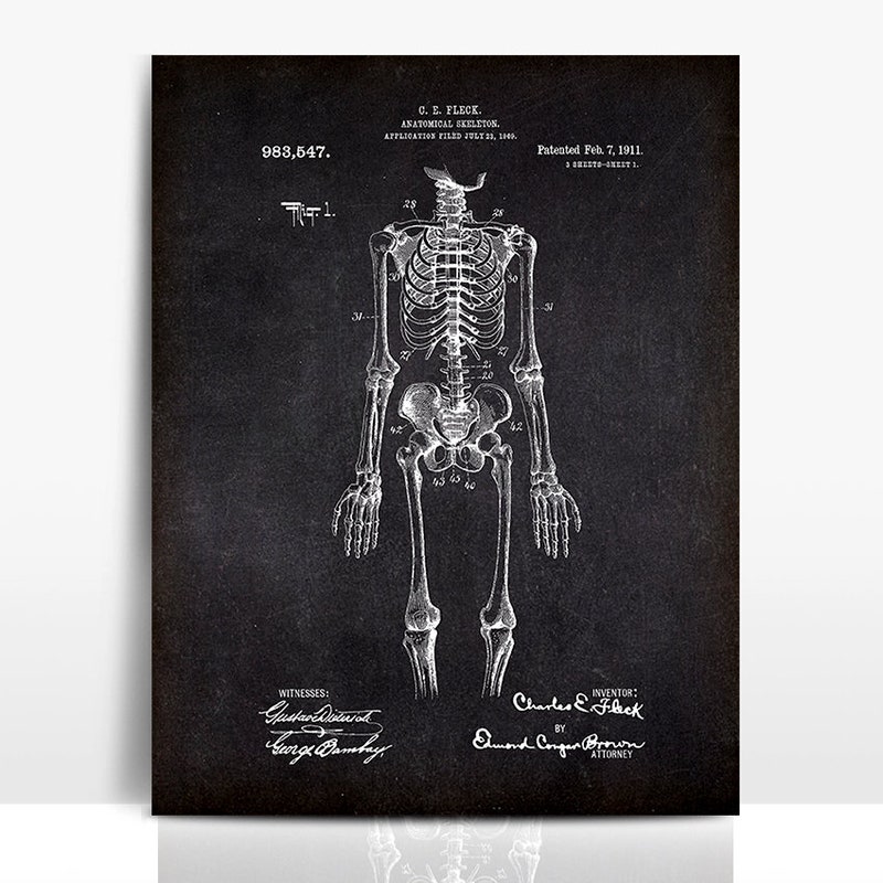Vintage Anatomy - Etsy