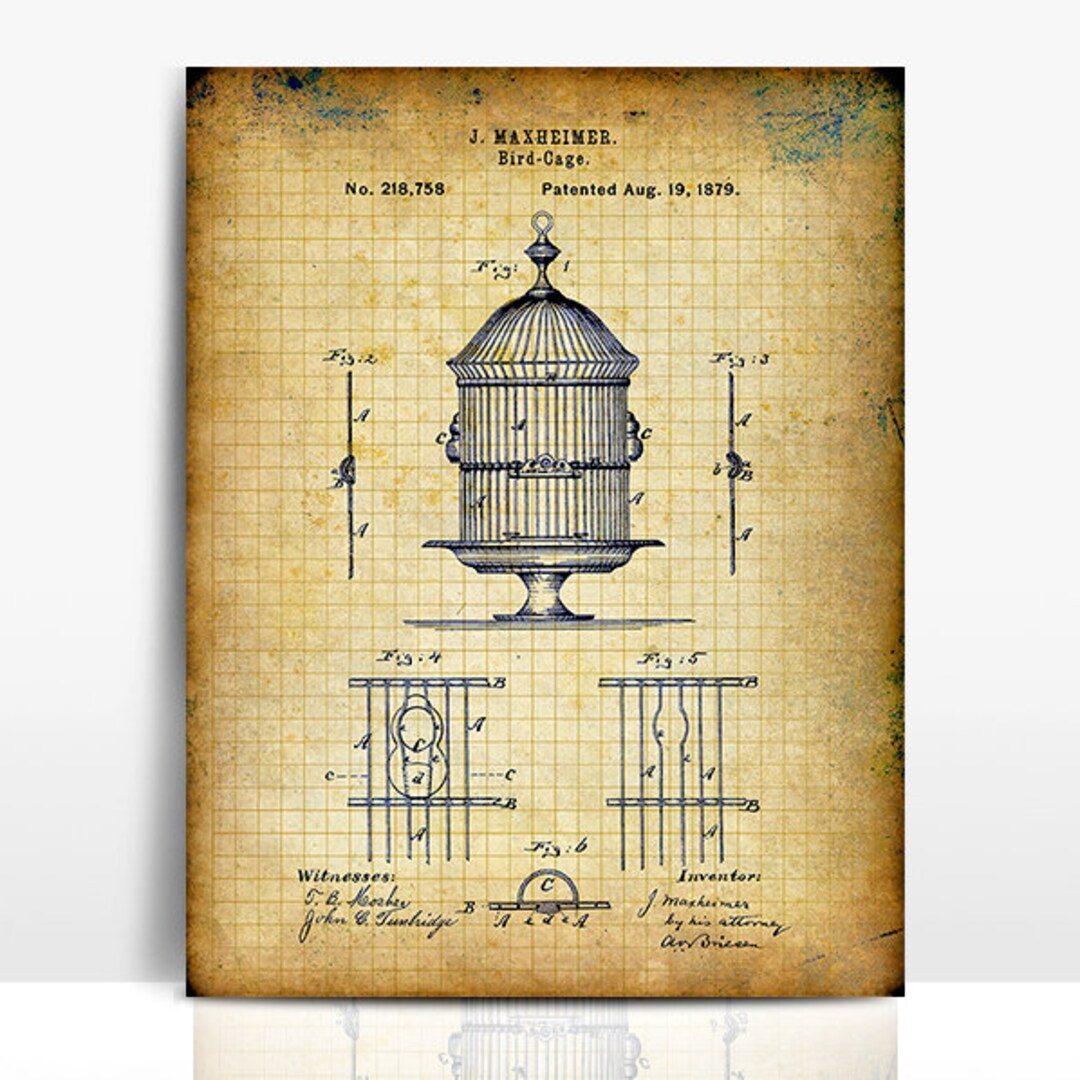 Victorian Birdcage Patent Print 1879, the Maxheimer, Chalkboard Style ...