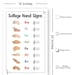 16x24" - Solfege Hand Signs Poster Unframed, Music Classroom, Music Theory, Music Note Value ...