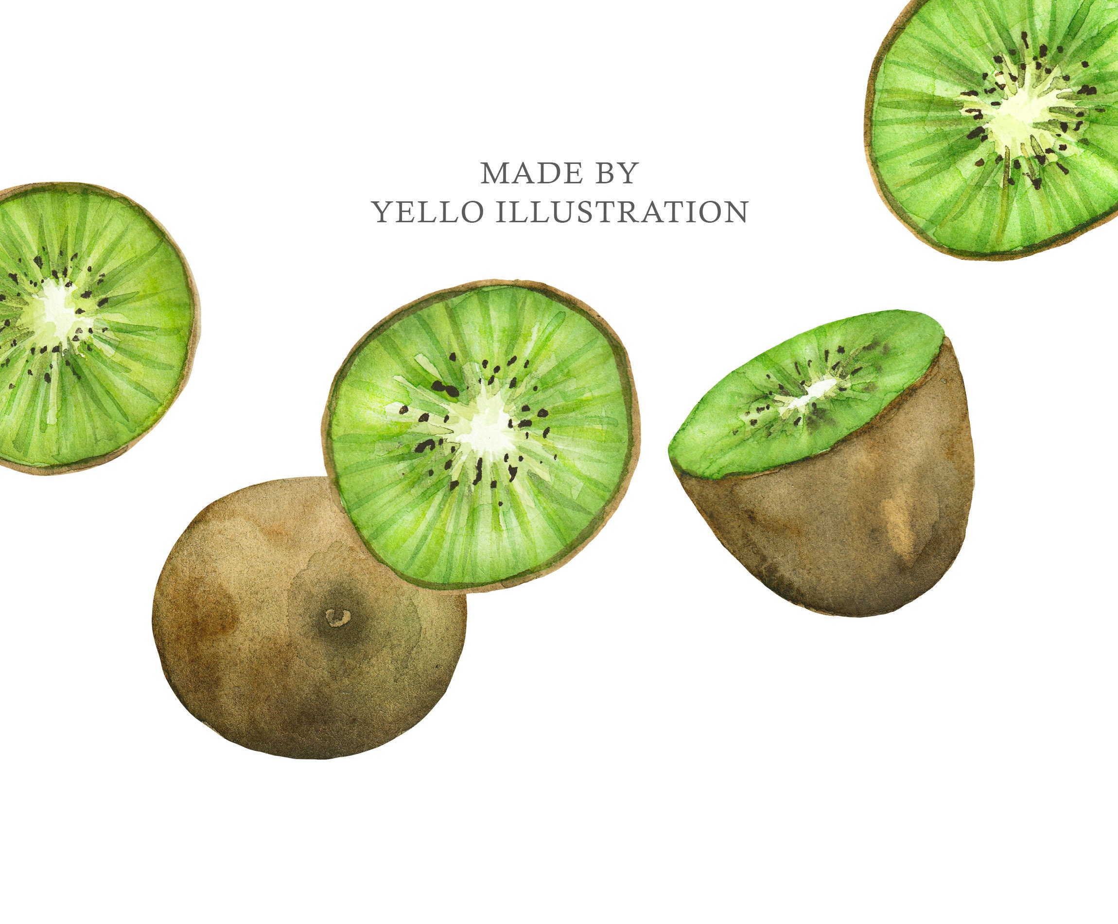 Watercolor Tropical Fruit Clipart. Kiwi Image to Dessert Menu. Motif ...