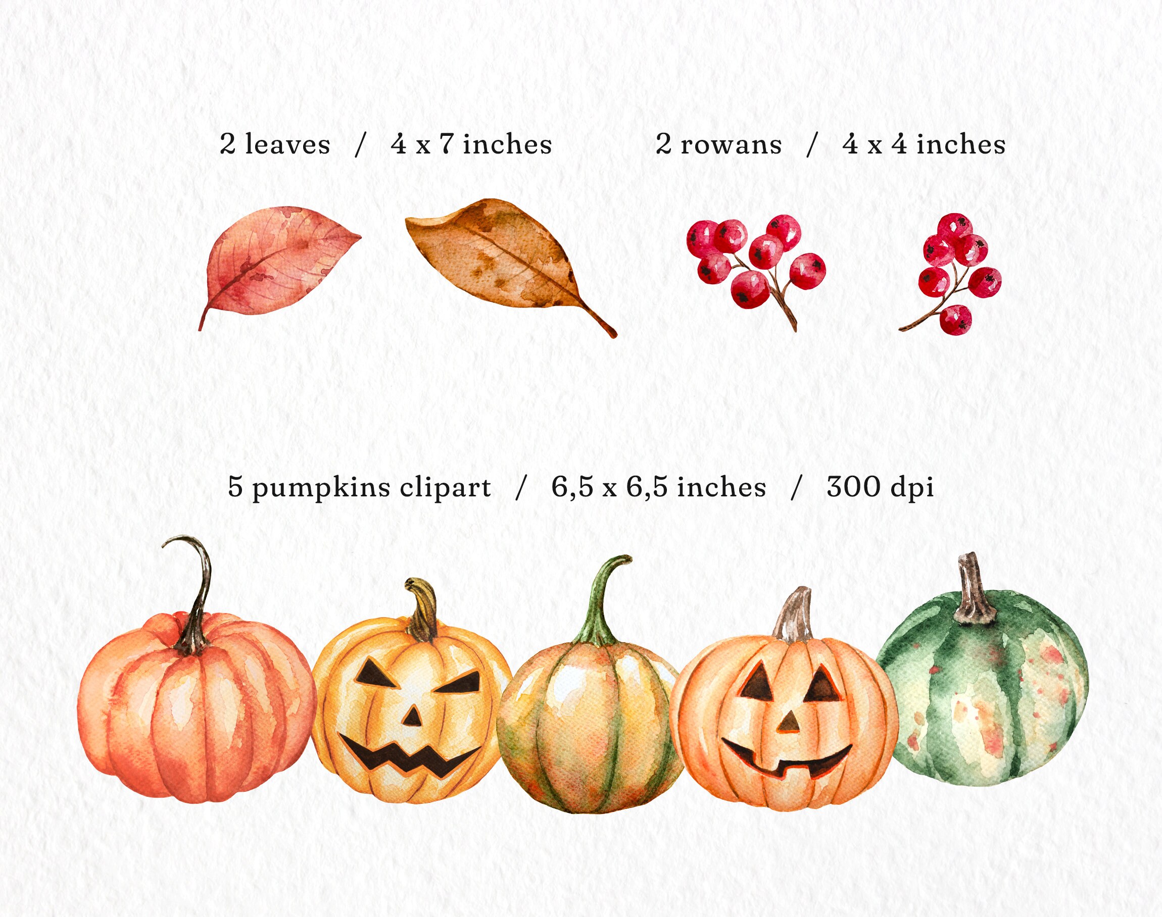 Watercolor Pumpkins Clipart Fall Clipart Instant Download - Etsy