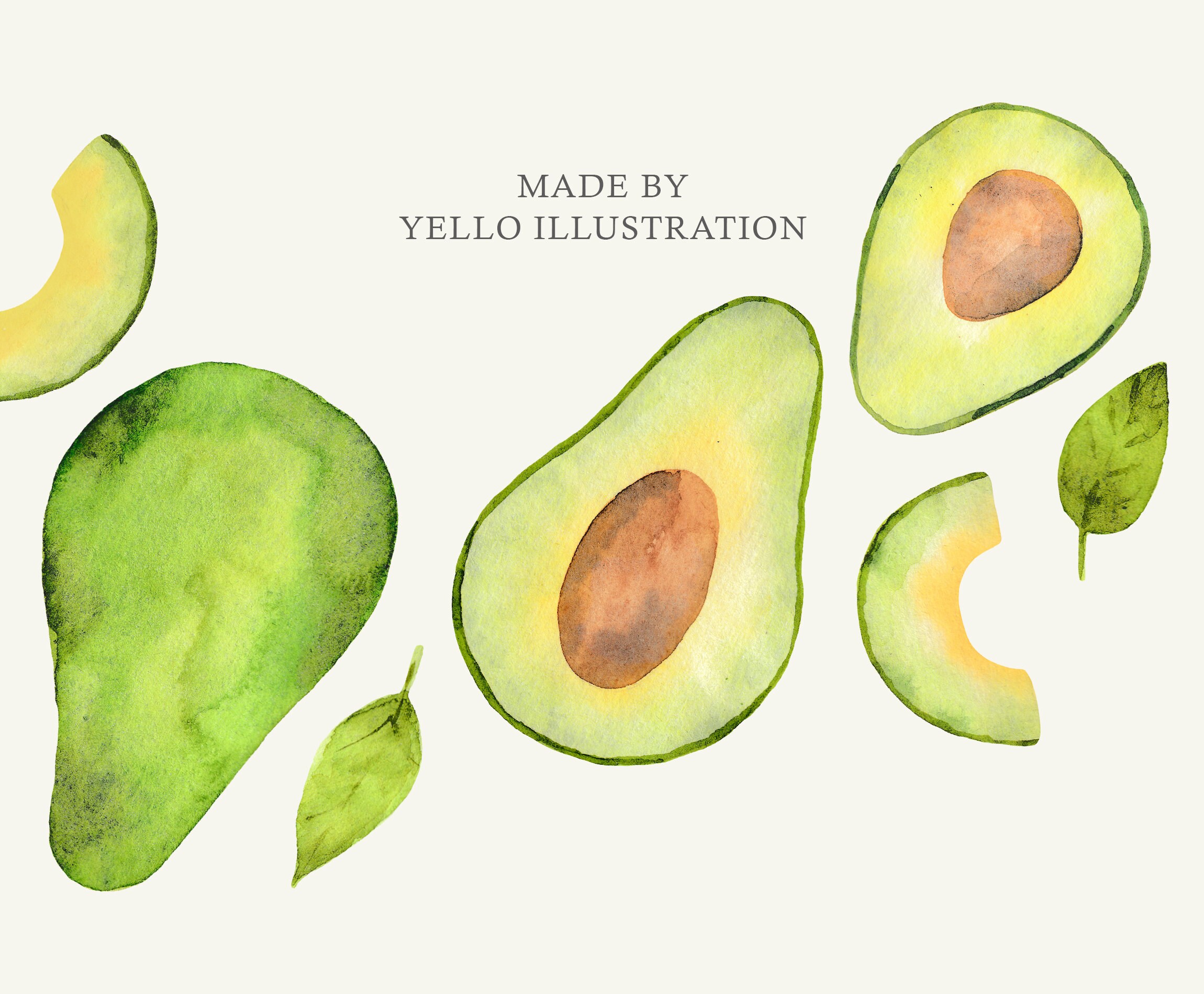 Watercolor Avocado Clipart, PNG Digital File, Green Food, INSTANT ...