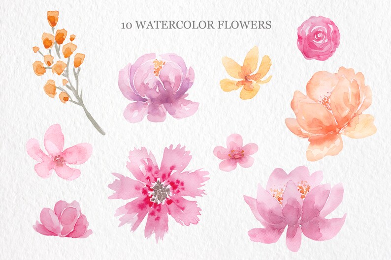 Watercolor Delicate Flower Elements Clipart PNG Files for DIY - Etsy