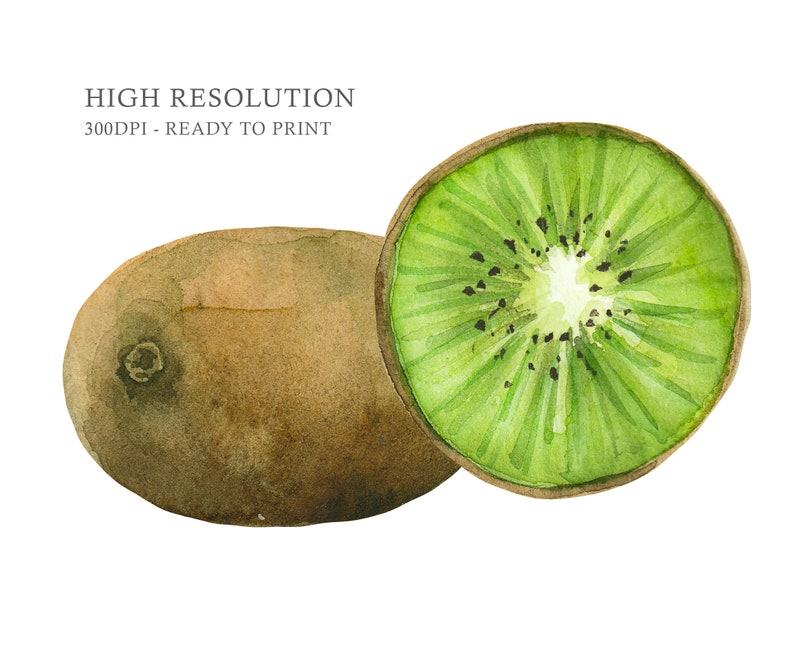Watercolor Tropical Fruit Clipart. Kiwi Image to Dessert Menu. Motif ...